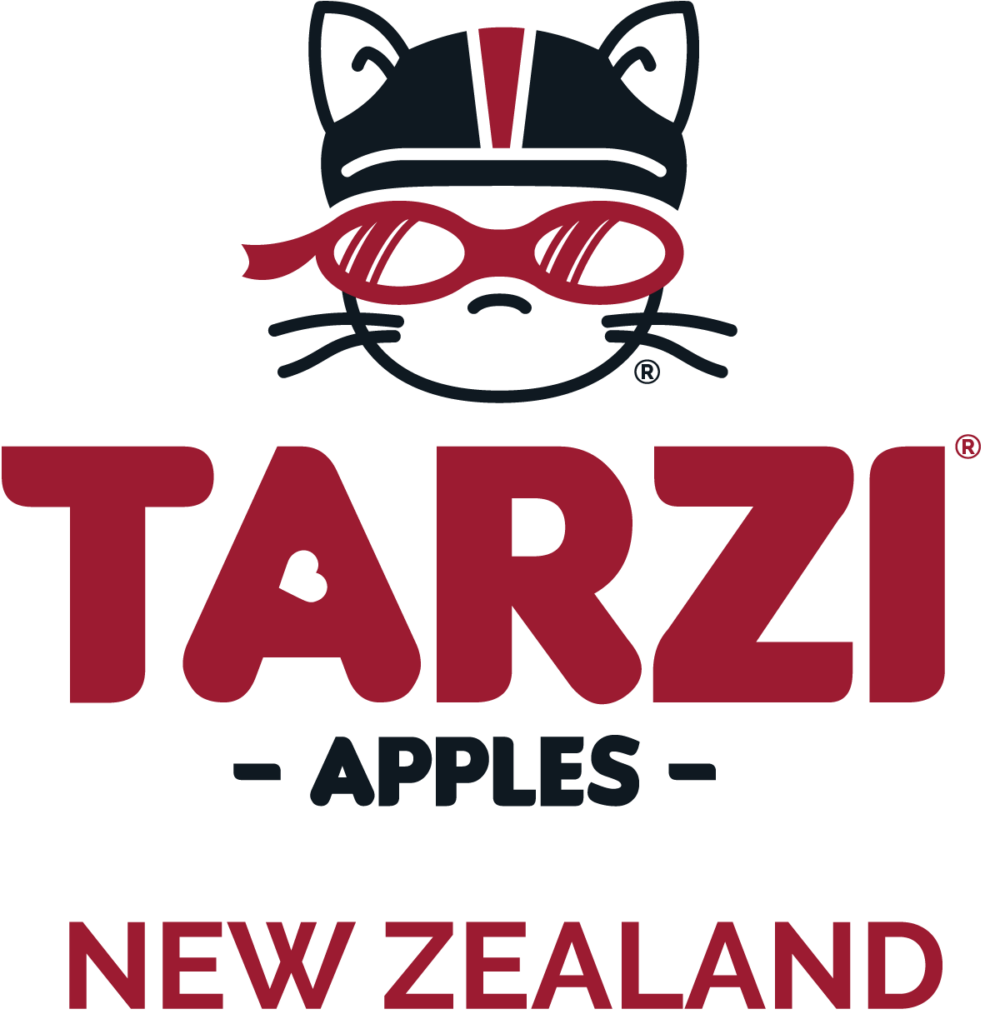 Landing Page - Tarzi